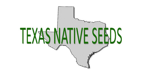 Texas Native Seeds – Bamert Seed