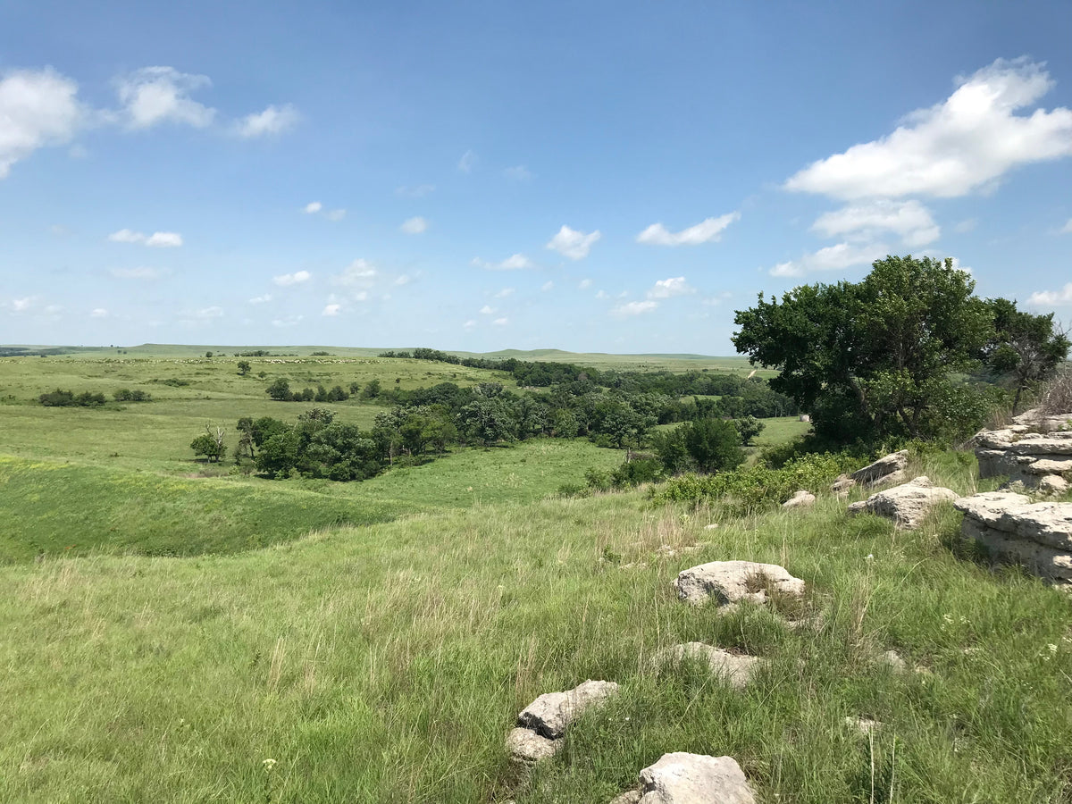 Pasture & Prairie Blends – Bamert Seed