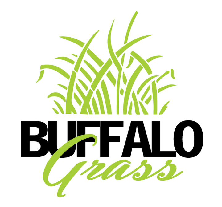 Buffalograss – Bamert Seed